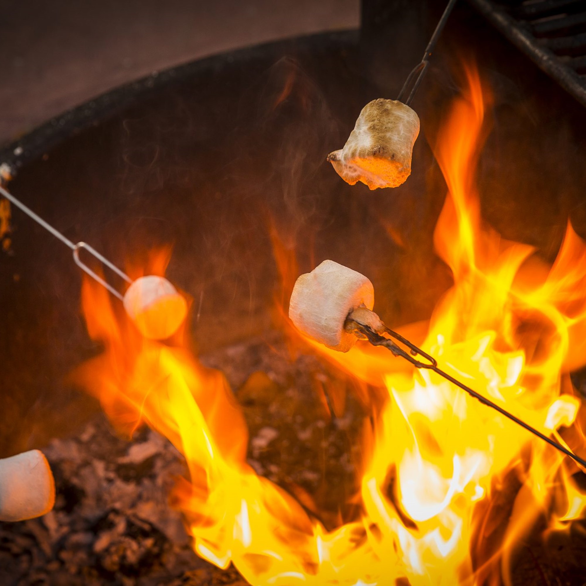 Gulfport KOA Holiday Blog | KOA Campgrounds