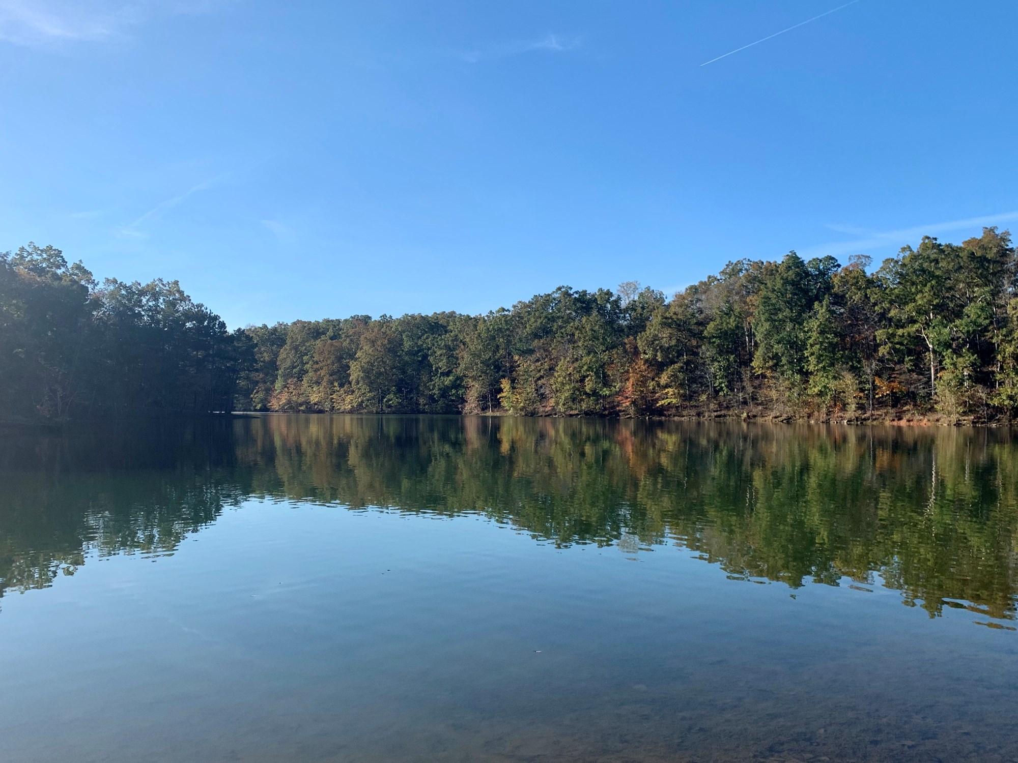 Polar Bear Plunge & Winter Festival: Event at the Hartwell Lakeside KOA ...