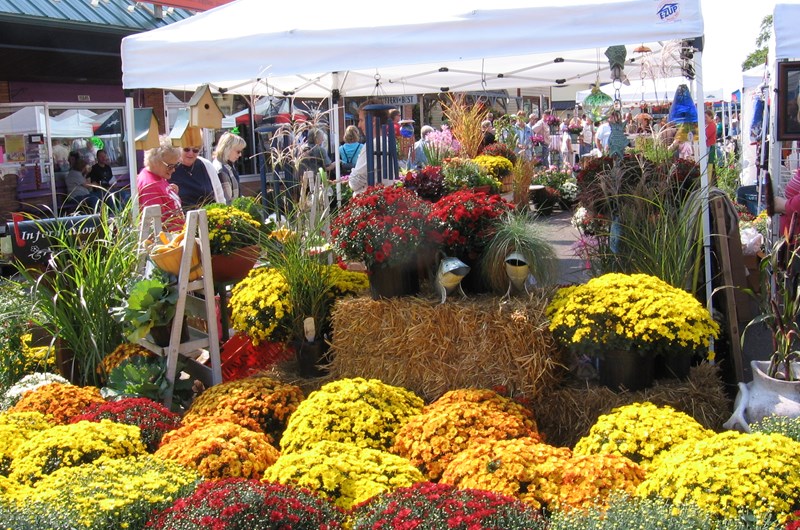 HAYWARD FALL FESTIVAL: Event at the Hayward KOA Holiday Campground in ...