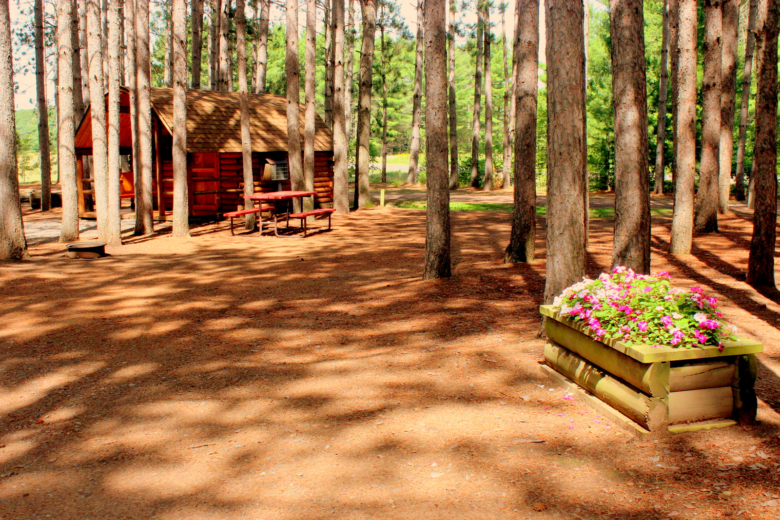 Hayward, Wisconsin RV Camping Sites | Hayward KOA Holiday