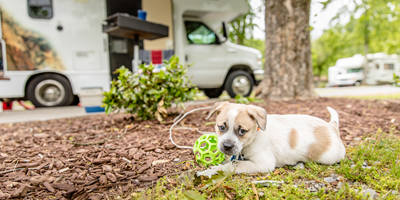 Campground in the North GA Mountains | Hiawassee KOA Holiday