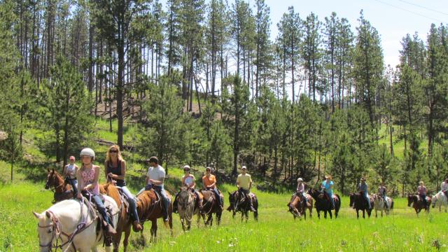 Hill City, South Dakota Campground | Hill City / Needles Hwy KOA Holiday