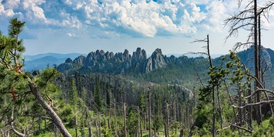 Hill City, South Dakota Campground | Hill City / Needles Hwy KOA Holiday