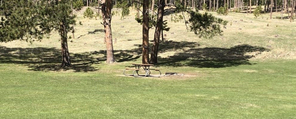 Hill City, South Dakota Tent Camping Sites | Hill City / Needles Hwy ...