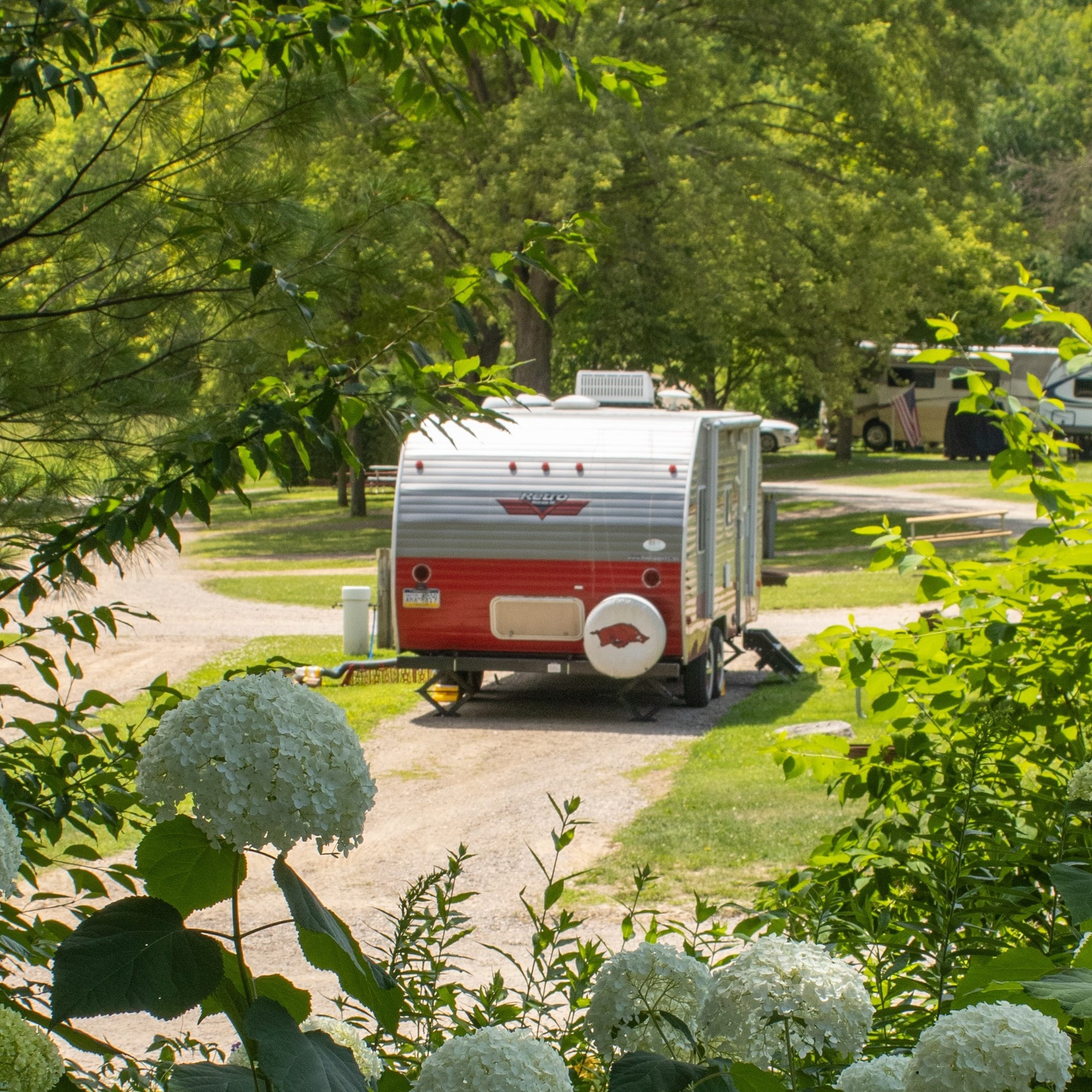 Hixton/Alma Center KOA Named Icon Award Winner