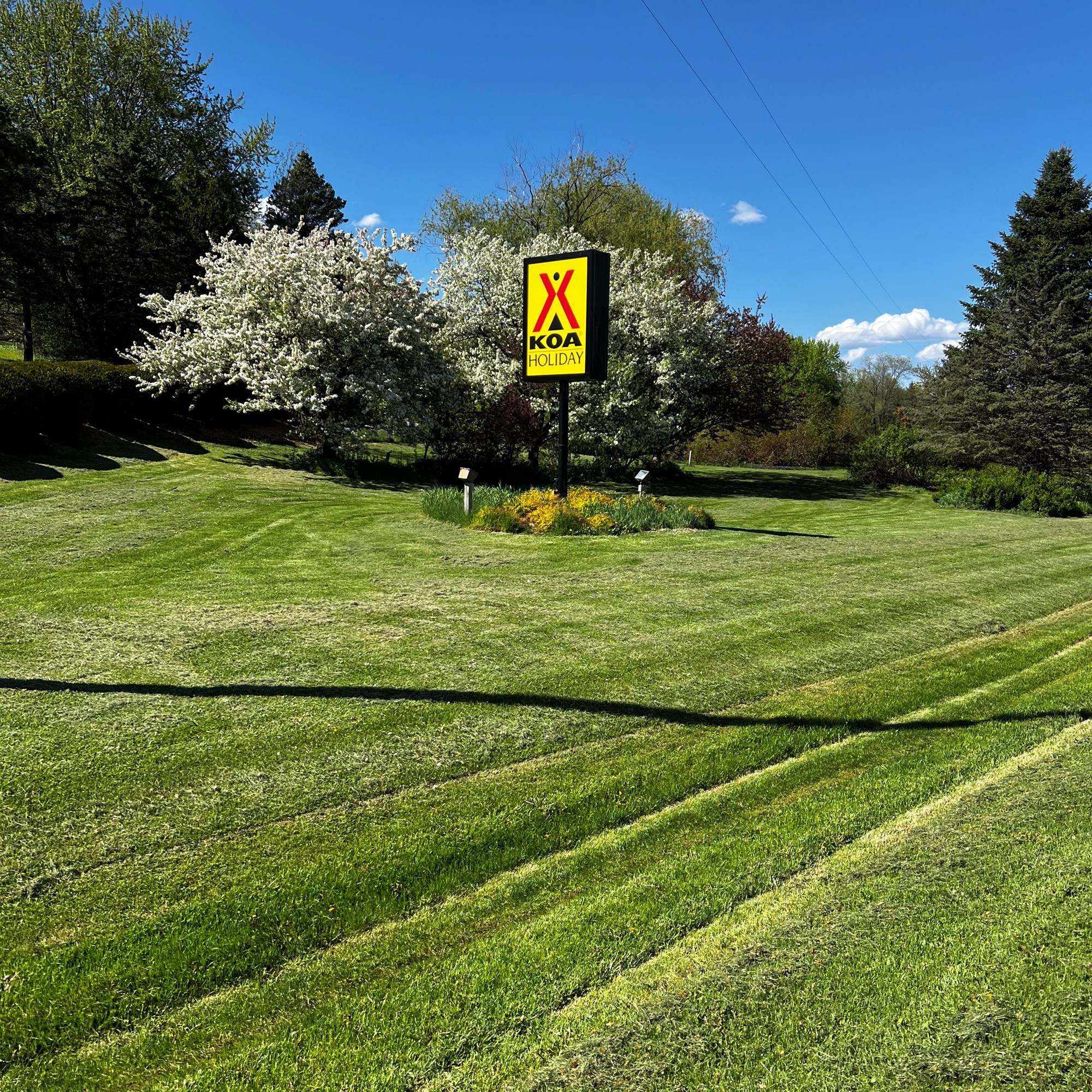 Pumpkin Carving Season