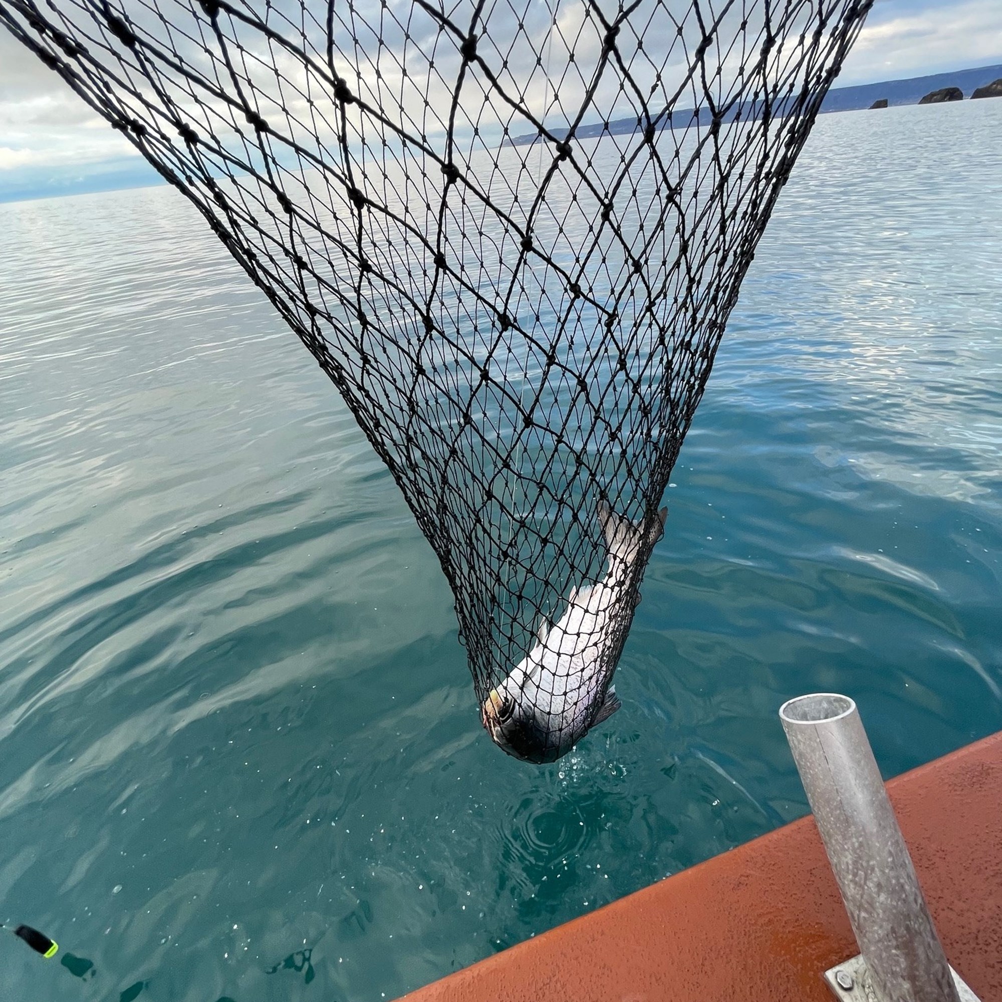 Homer, Alaska Campground | Homer / Baycrest KOA Holiday