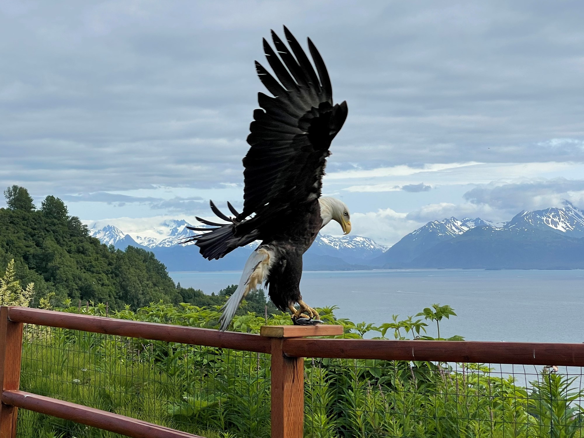 Homer, Alaska Campground Map | Homer / Baycrest KOA Holiday