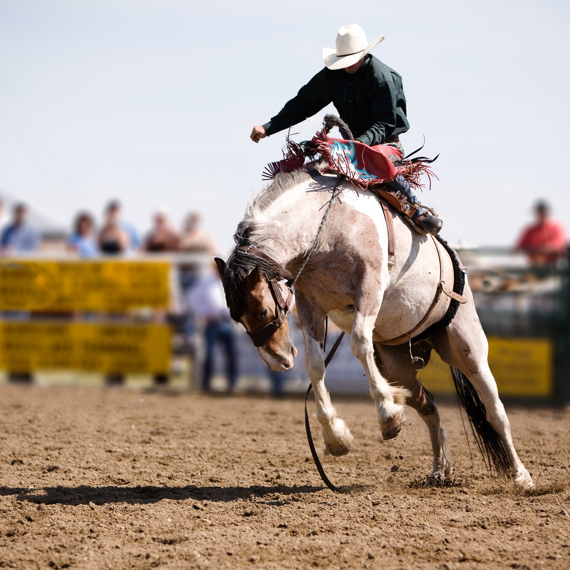 Houston, Texas Camping Events | Houston / Med Center KOA Holiday