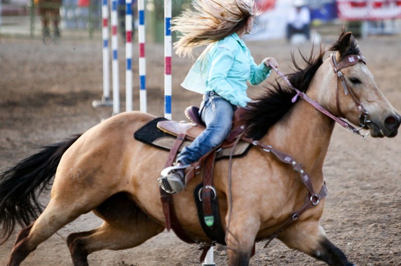 National Finals Rodeo: Event at the Las Vegas KOA Journey at Sam's Town ...