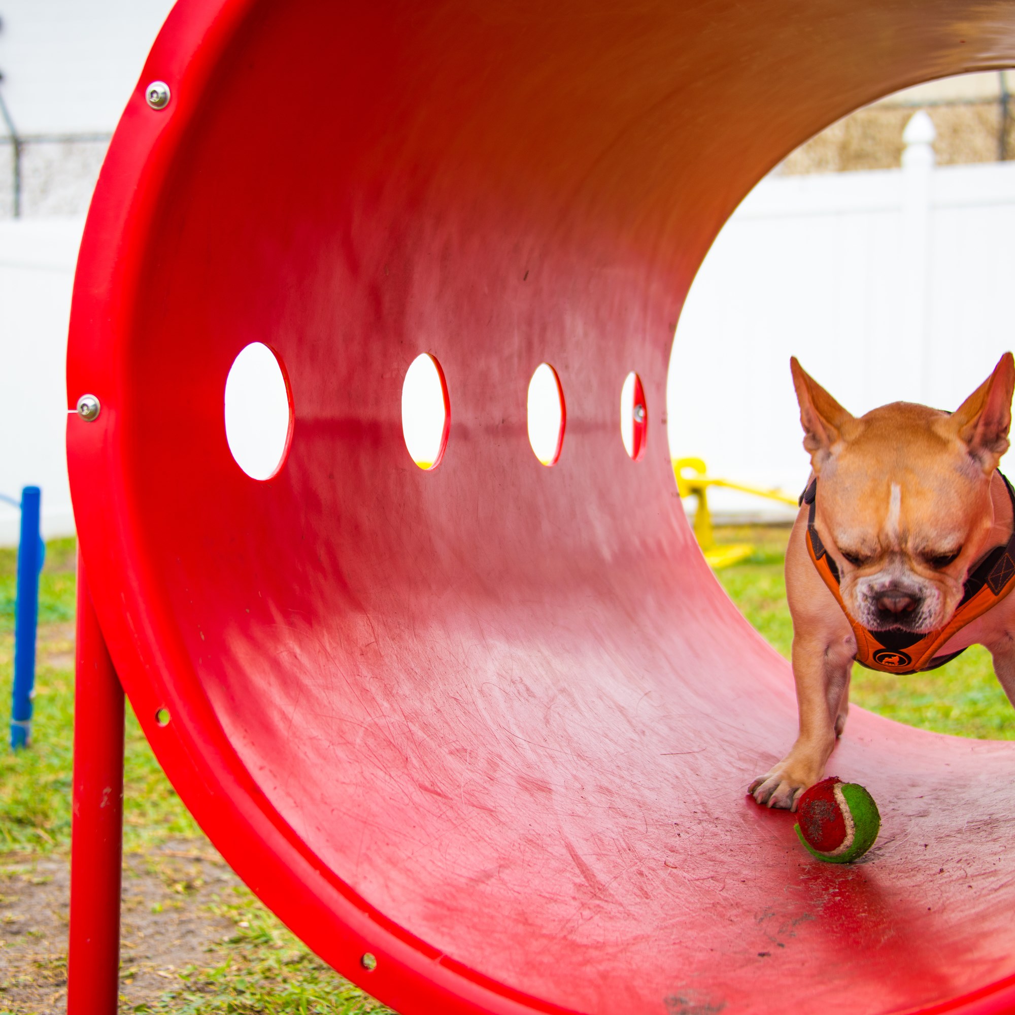 Seward, Nebraska Campground | Lincoln West KOA Holiday