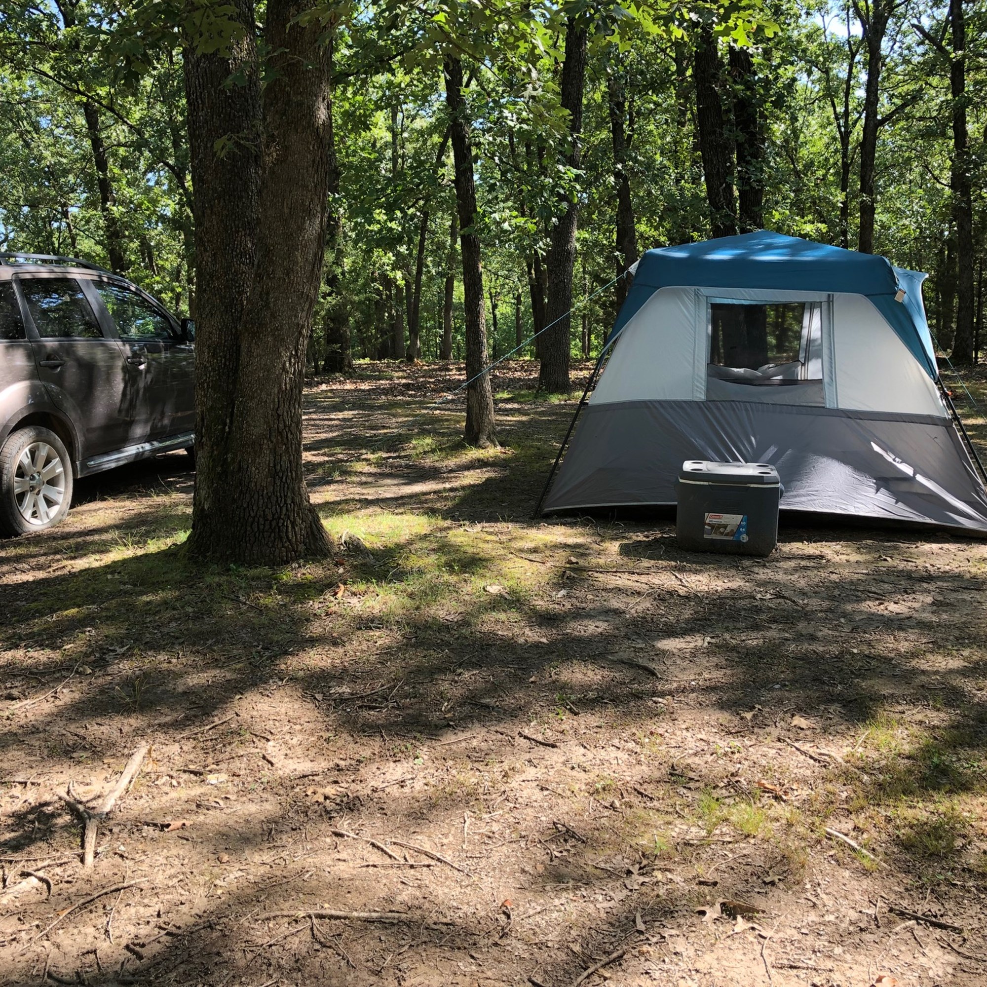 Lake of the Ozarks / Linn Creek KOA Holiday Group Camping | KOA Campgrounds