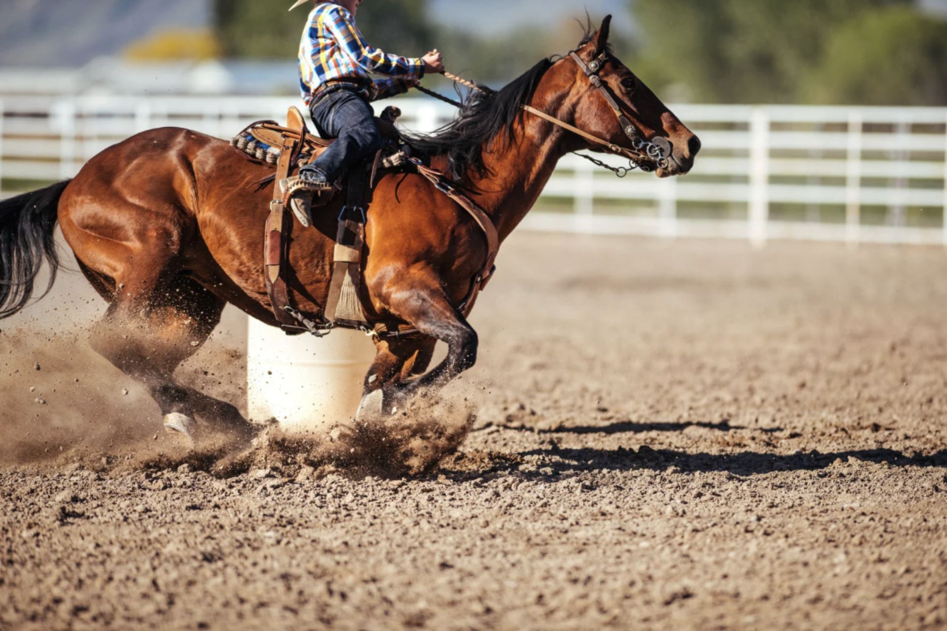 Saddle Up for Rodeo Season Near Livingston