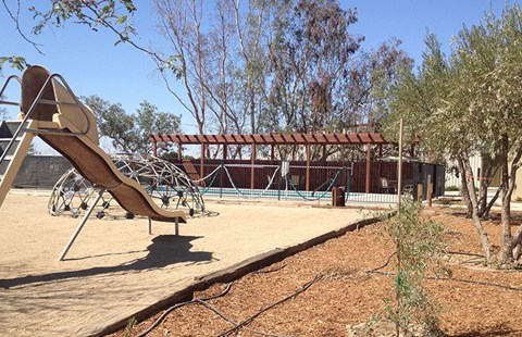 Lost Hills, California Campground | Lost Hills KOA