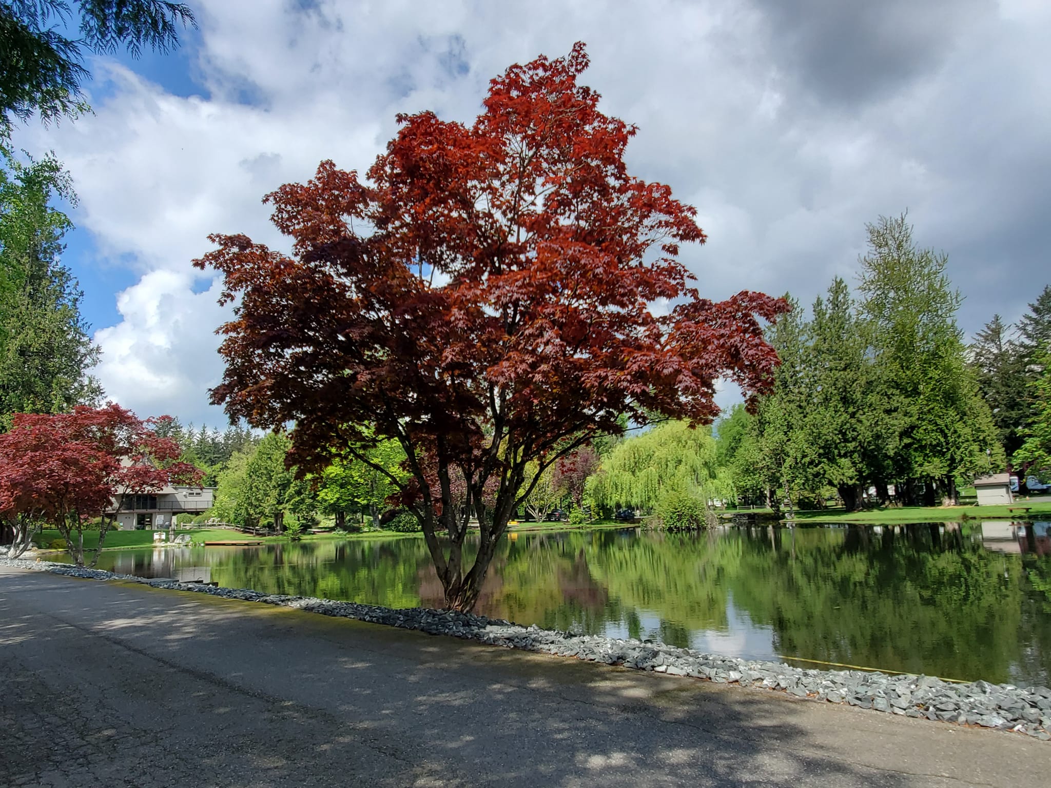 Lynden, Washington Campground | Lynden / Bellingham KOA Journey