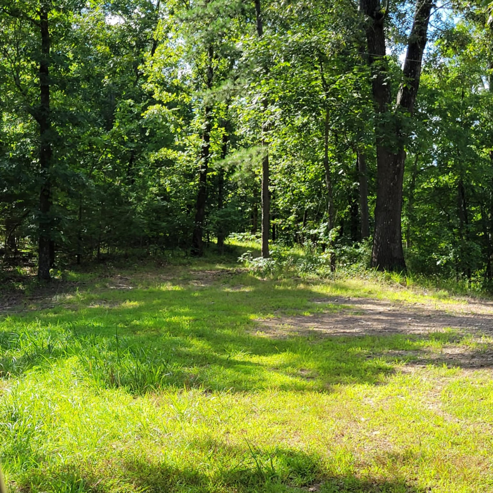 Mena, Arkansas Campground | Mena / Ouachita National Forest KOA Journey