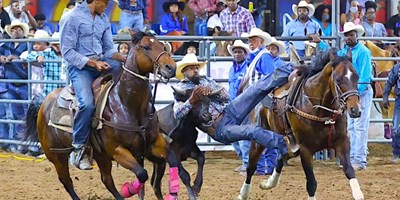 Apache Junction, Arizona Campground | Mesa / Apache Junction KOA Journey