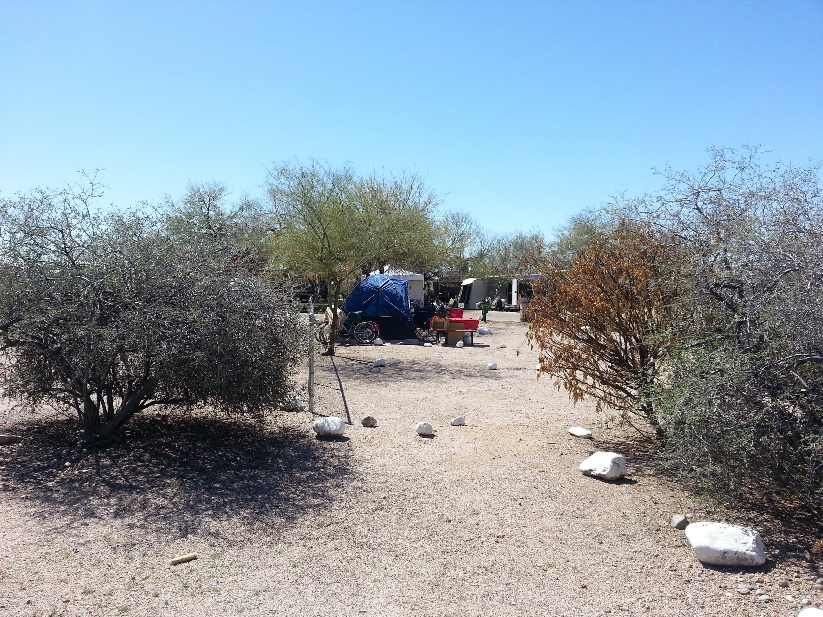 Apache Junction, Arizona RV Camping Sites | Mesa / Apache Junction KOA ...