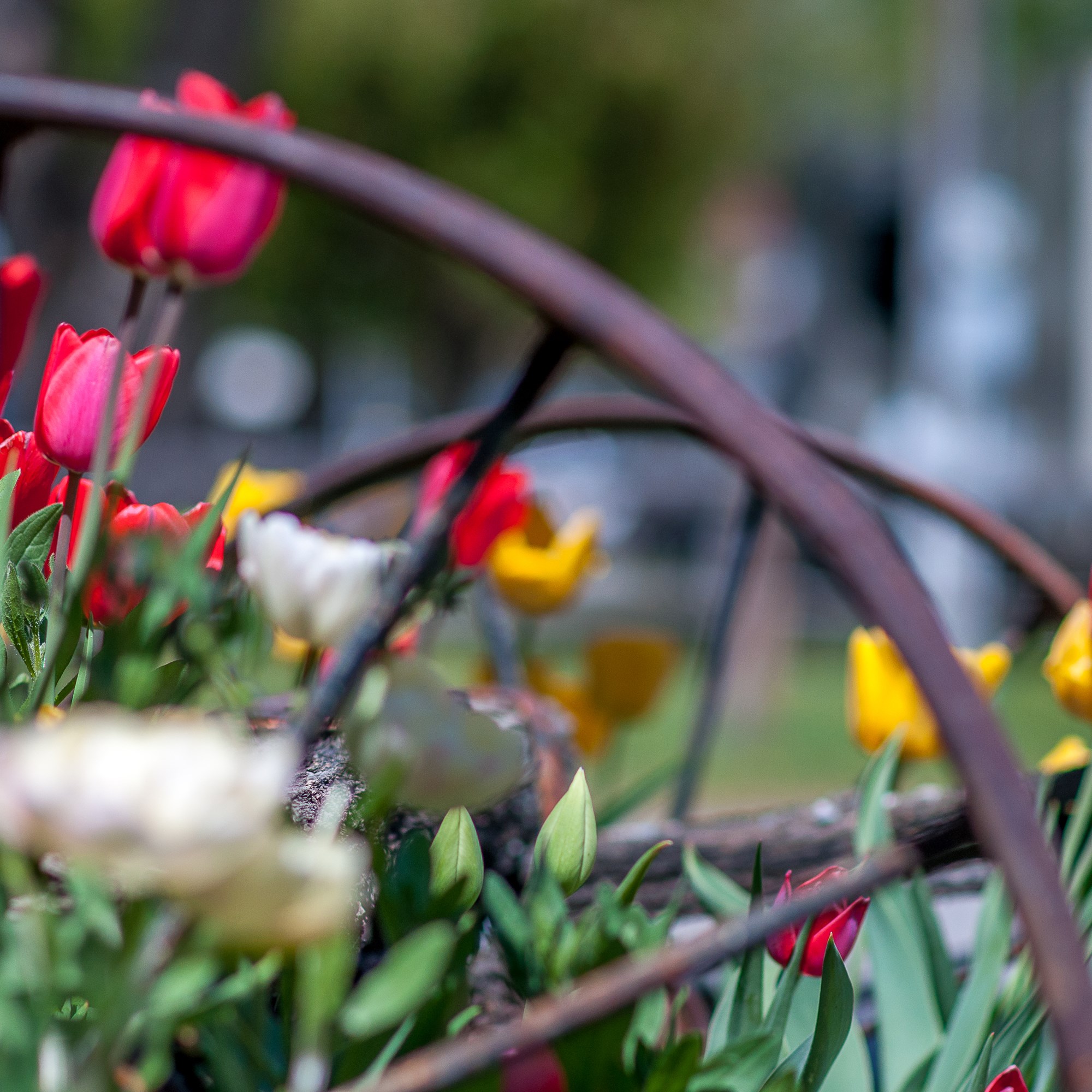 Spring is in the Air; it's starting to warm up.