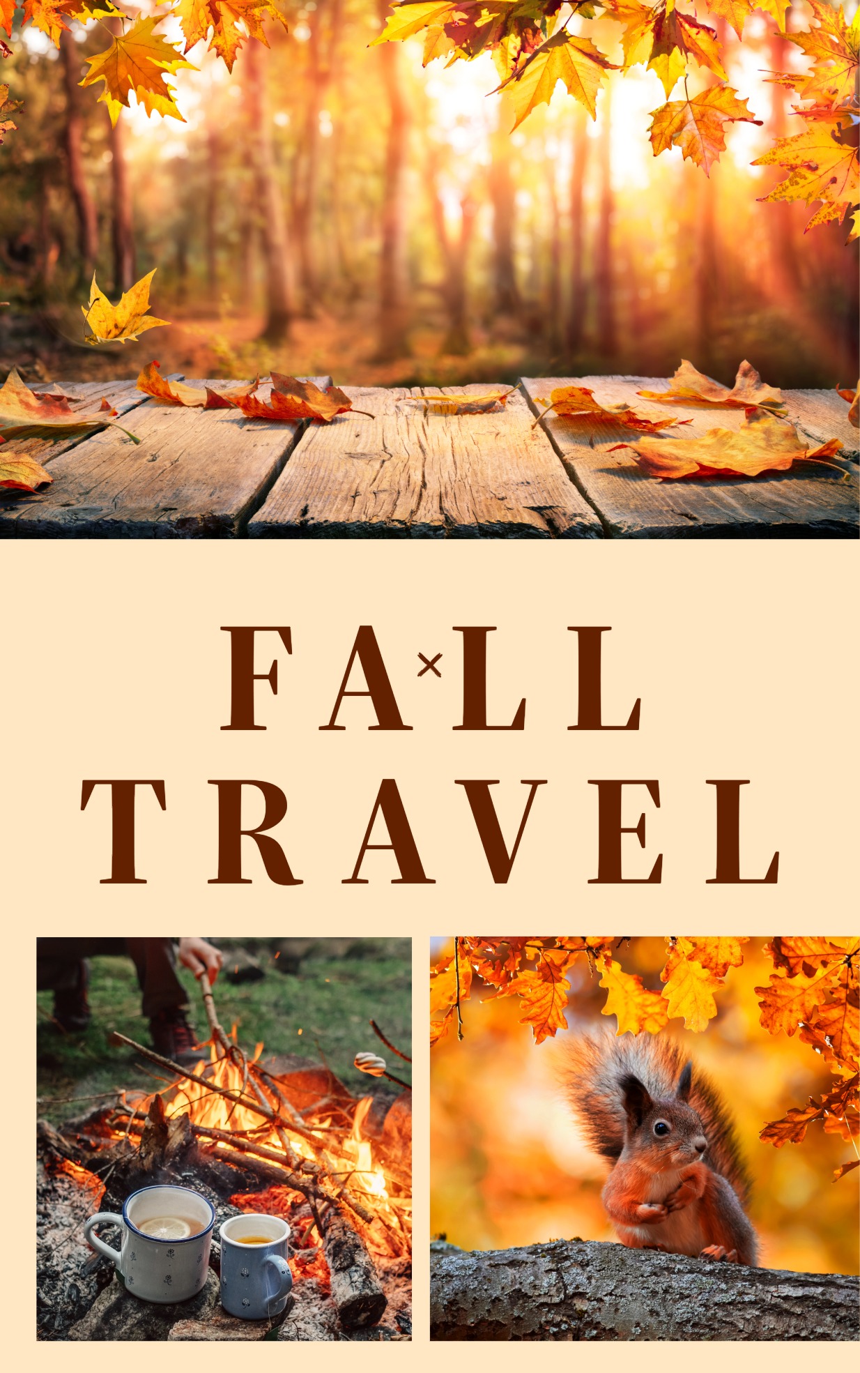 Fall Adventures: From Campgrounds to Farms