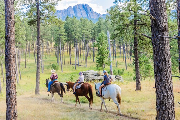 Camping Recreation | Mount Rushmore KOA Resort