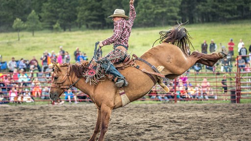 Mount Rushmore KOA Resort at Palmer Gulch Blog | KOA Campgrounds