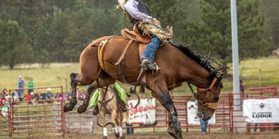 Hill City, South Dakota Campground | Mount Rushmore KOA at Palmer Gulch