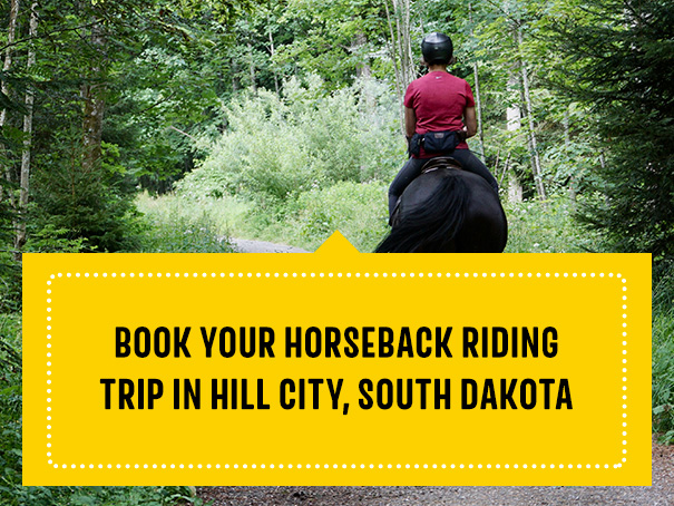 Horseback Riding in the Black Hills | Mount Rushmore KOA