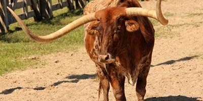 West Yellowstone, Montana Campground | Yellowstone Park / Mountainside ...