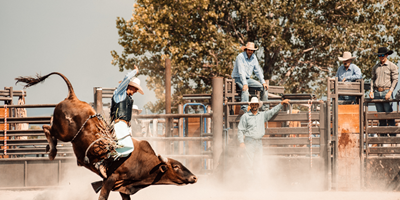 West Yellowstone, Montana Campground | Yellowstone Park / Mountainside ...