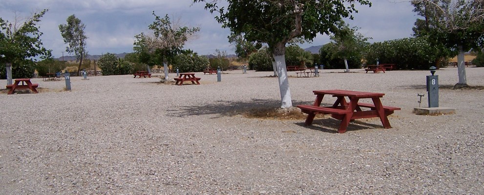 Needles, California RV Camping Sites | Needles KOA Journey