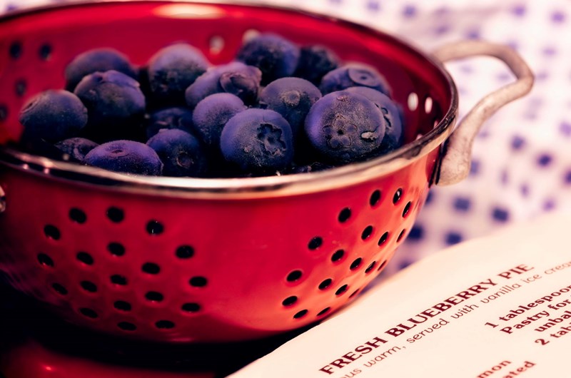 2019 Bridgeton Blueberry Festival: Event at the New Bern KOA Holiday ...