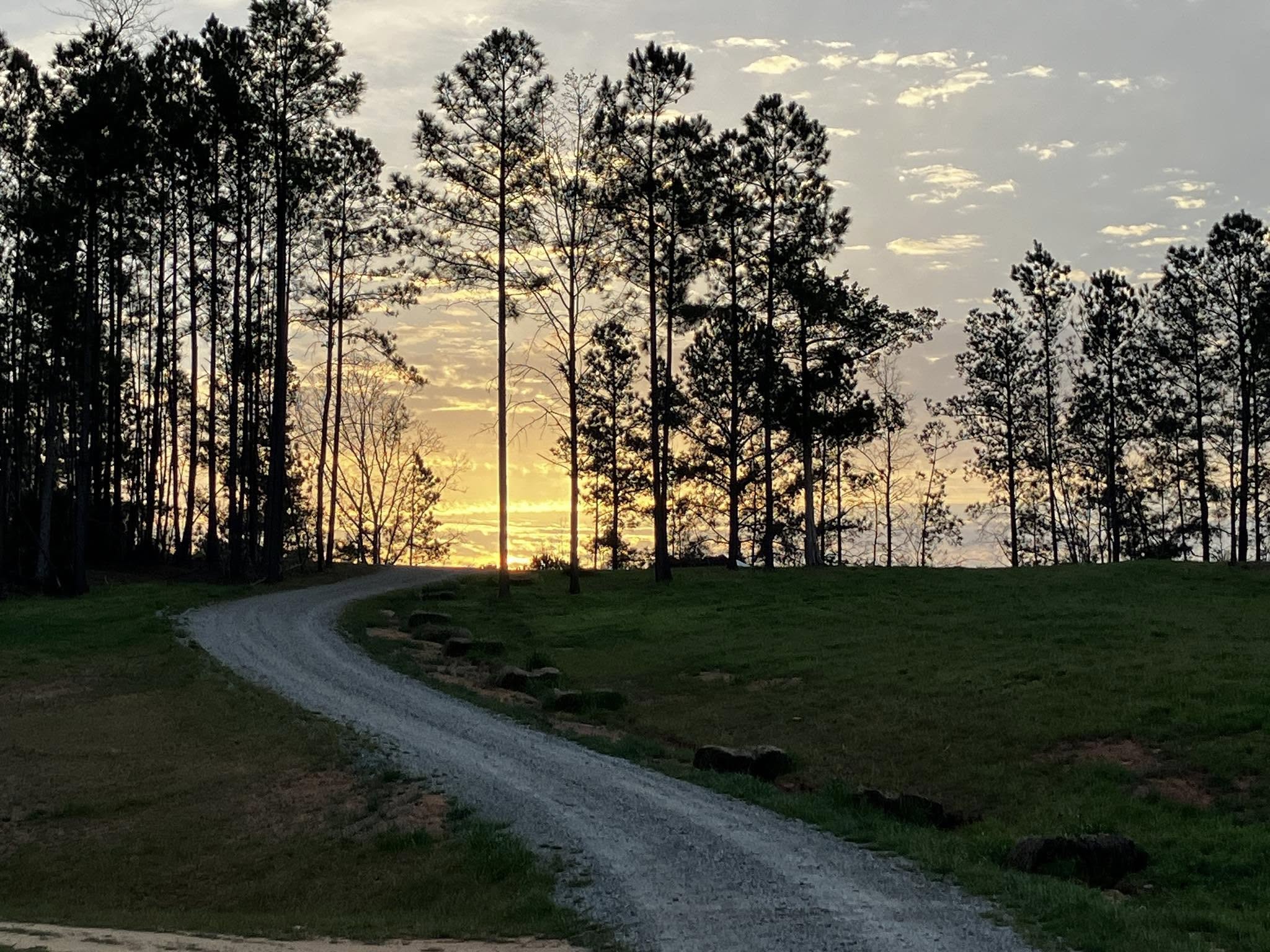 Back to Basics - Skills for Every Camper