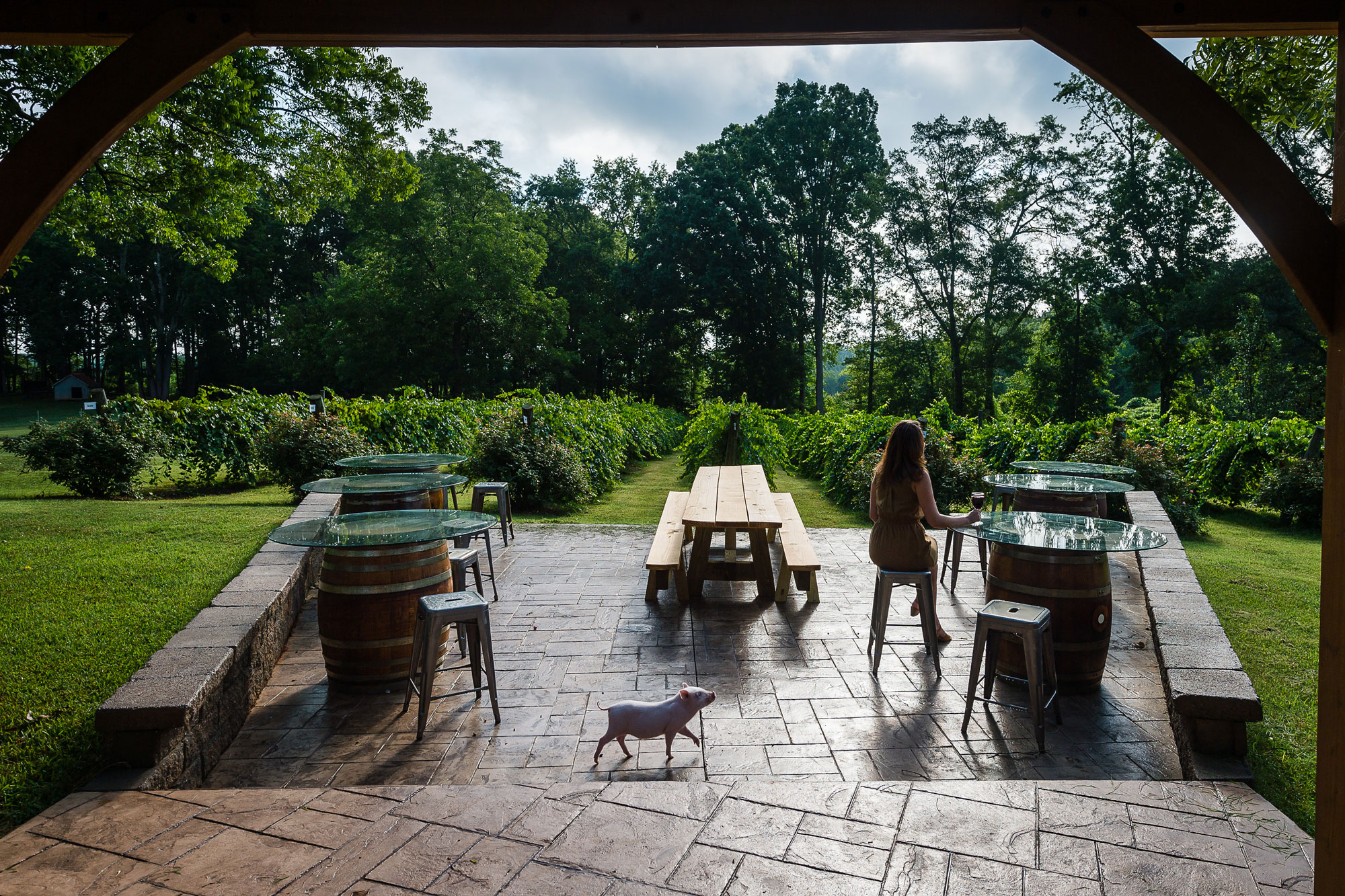 Kinards, South Carolina Area Attractions and Activities | Newberry / I ...