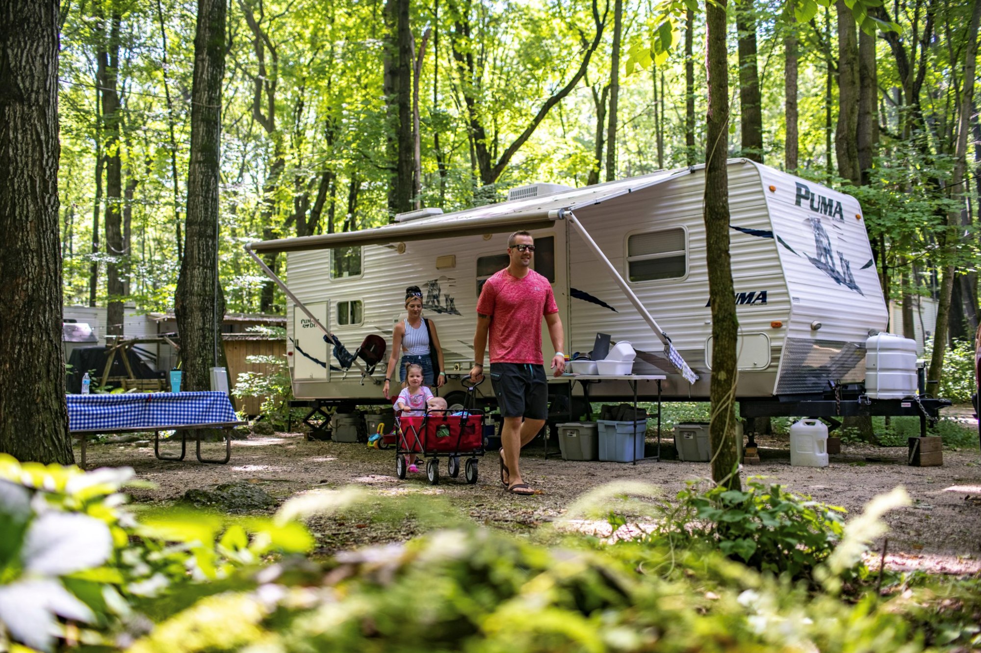 Newport, Tennessee Campground | Newport / I-40 / Smoky Mountains KOA Journey