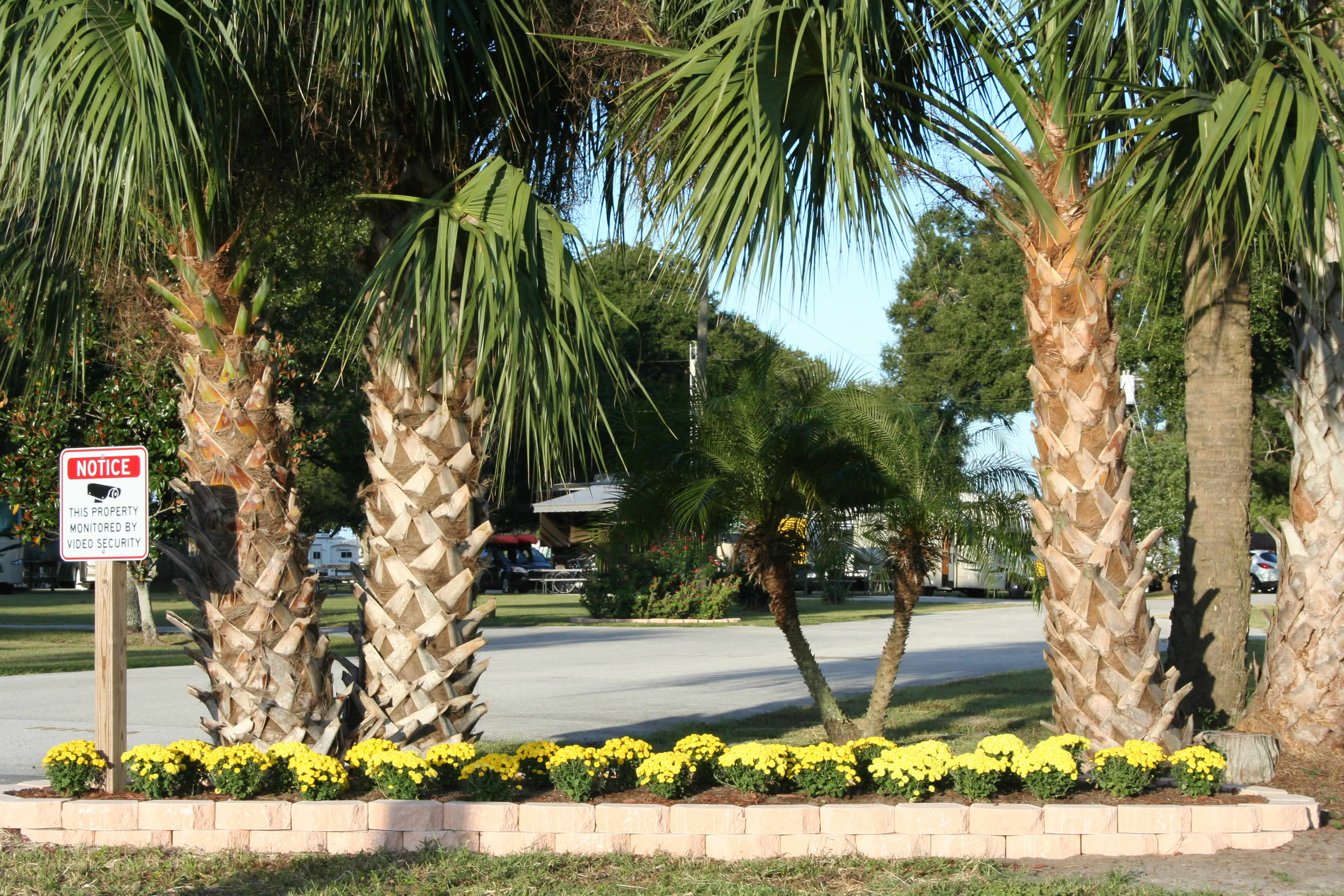 Apopka, Florida Campground | Orlando NW / Orange Blossom KOA