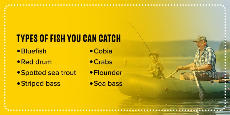 Fishing Guide for the Currituck Sound North Carolina | KOA