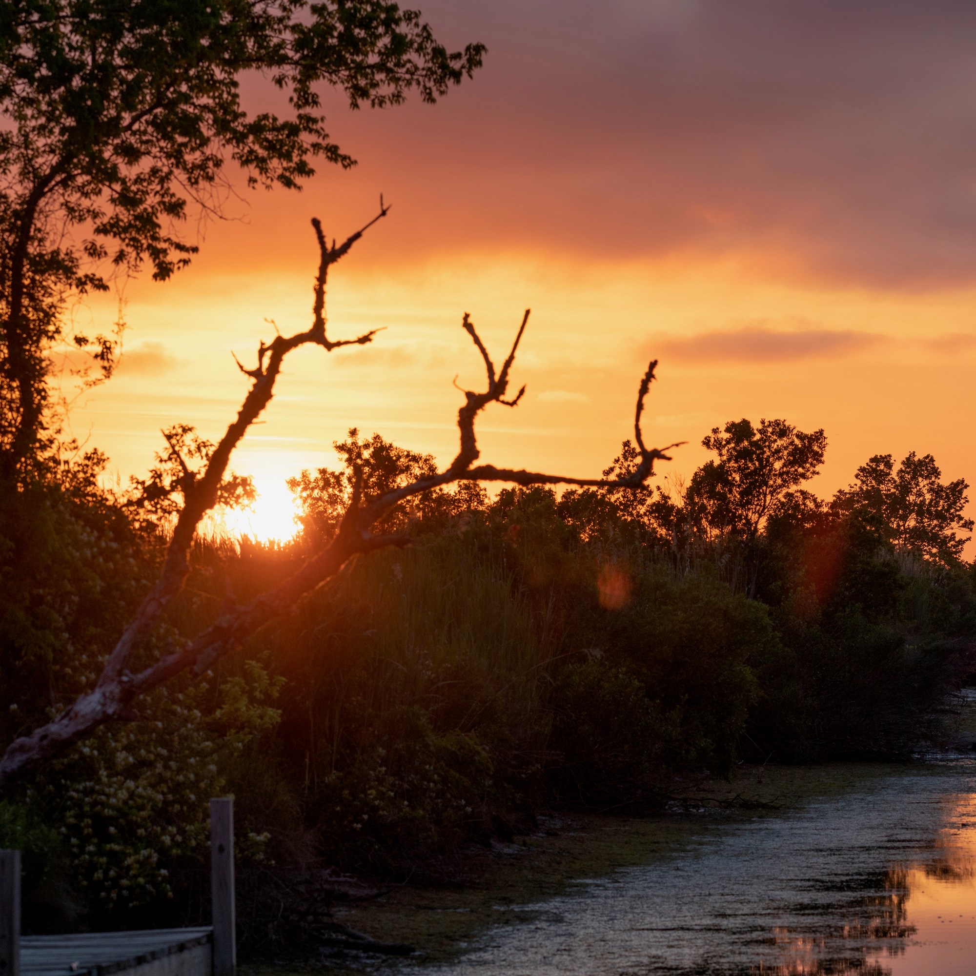 Campsite Information | Outer Banks West/Currituck Sound KOA
