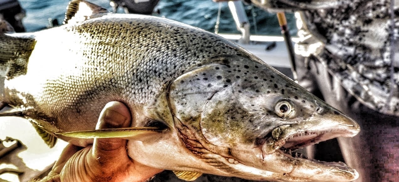 Casting Away: Fishing in Owen Sound