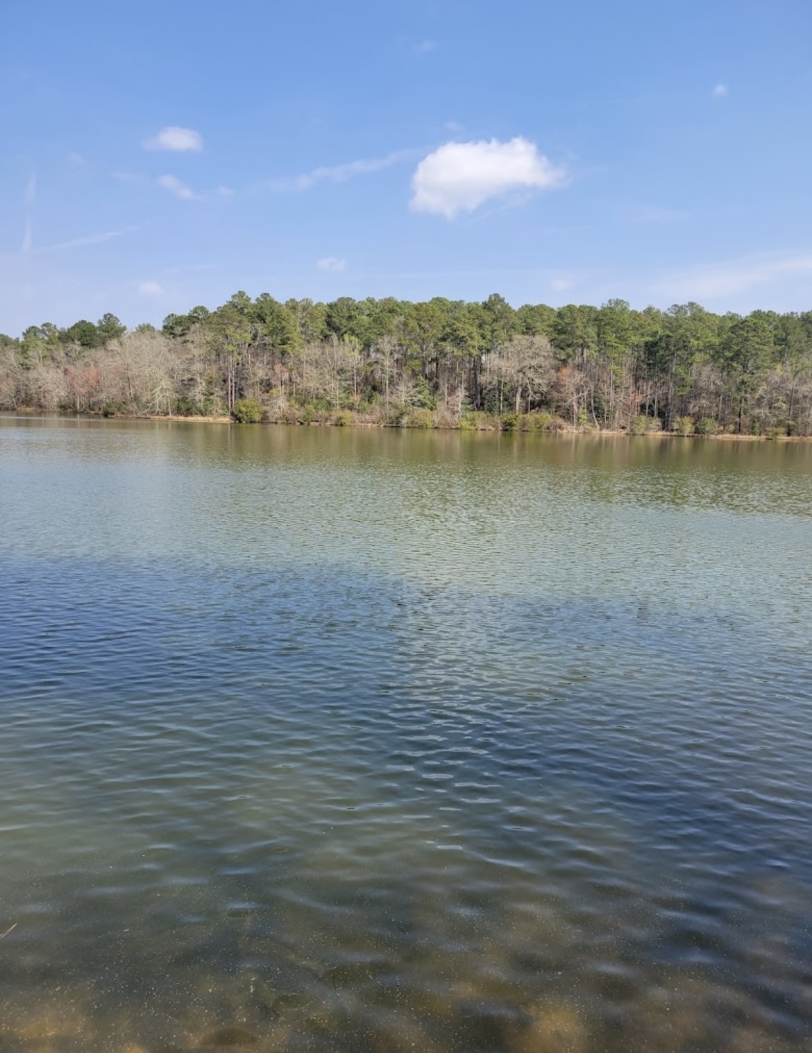 Ozark, Alabama Campground | Ozark / Fort Rucker KOA Journey