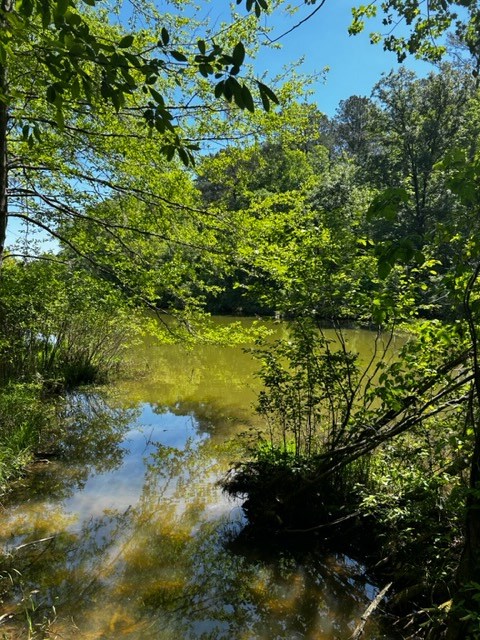 Ozark, Alabama Campground | Ozark / Fort Rucker KOA Journey