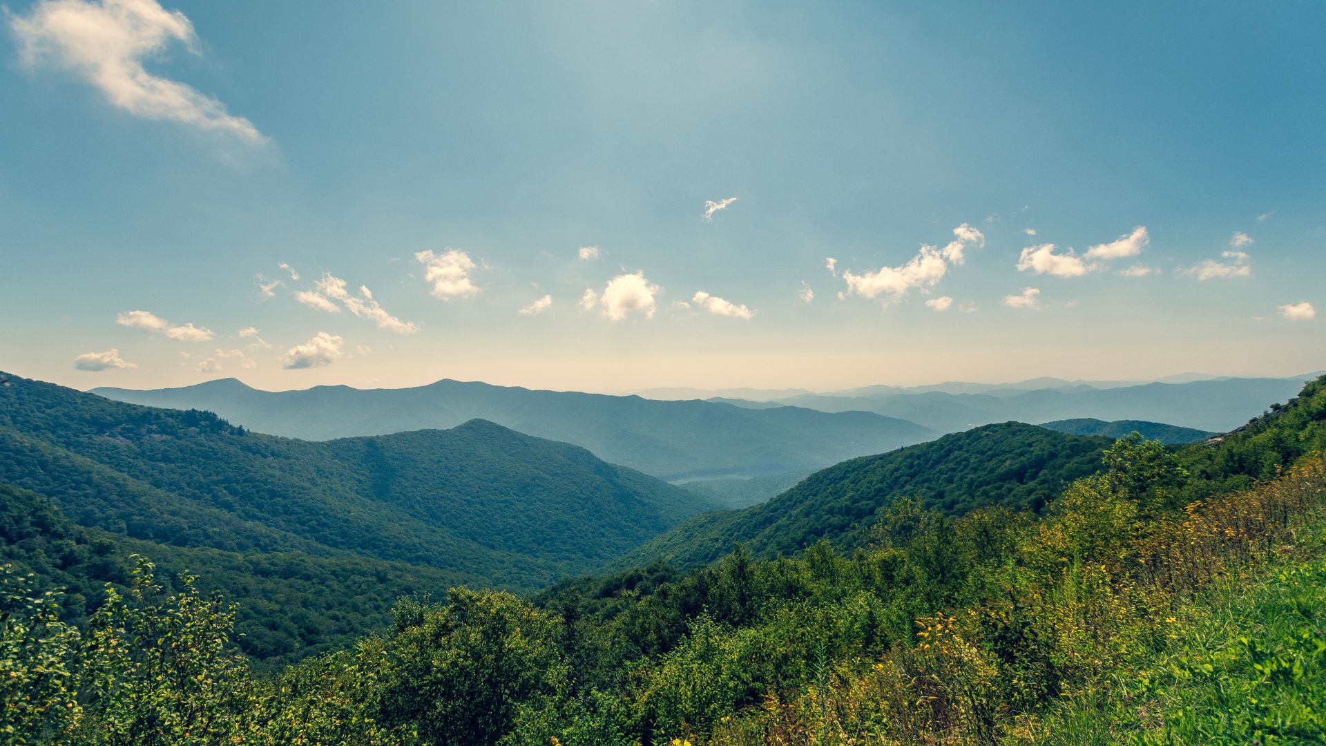 Exploring the Untamed Beauty: Top Things to Do in Palmer