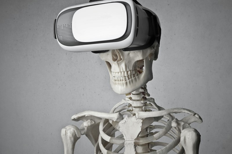 BONES ON THE BEACH: Event at the Parker Strip / Colorado River KOA ...