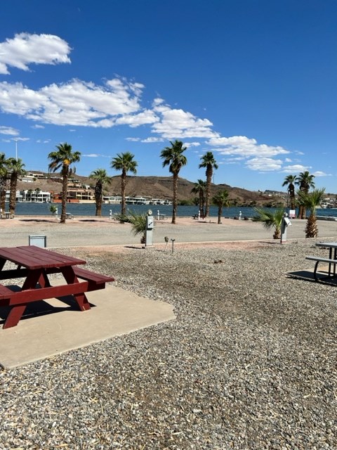 Earp, California RV Camping Sites | Parker Strip / Colorado River KOA ...