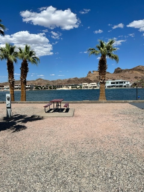 Earp, California RV Camping Sites | Parker Strip / Colorado River KOA ...