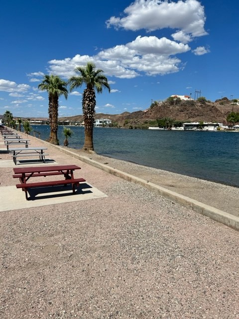 Earp, California RV Camping Sites | Parker Strip / Colorado River KOA ...