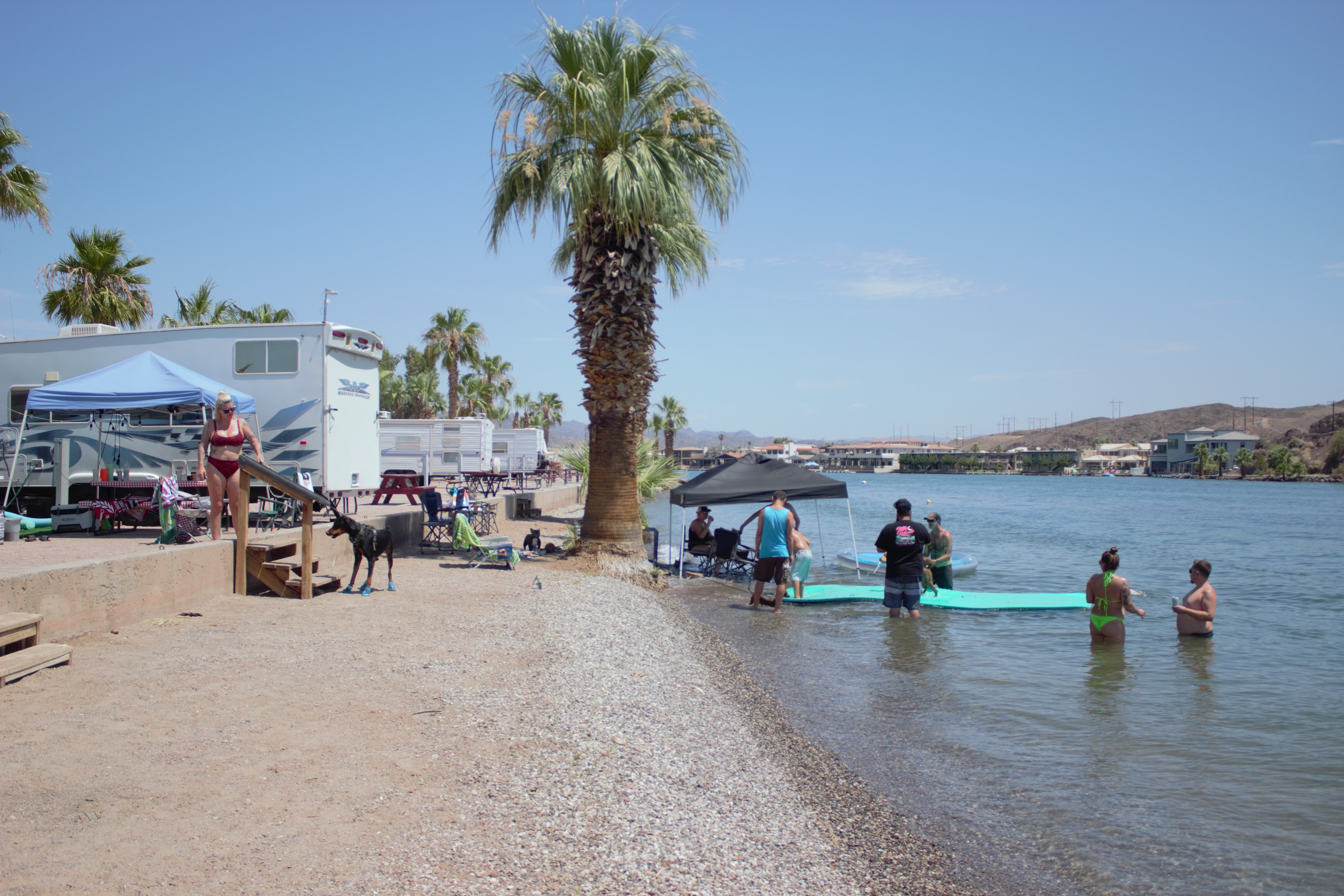 Parker Strip / Colorado River KOA Holiday General Info | KOA Campgrounds
