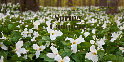 Seguin, Ontario Campground | Parry Sound KOA Holiday