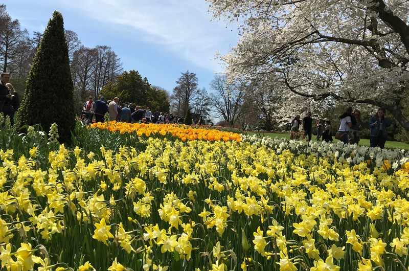 Longwood Gardens Spring Blooms: Event at the Philadelphia / West ...