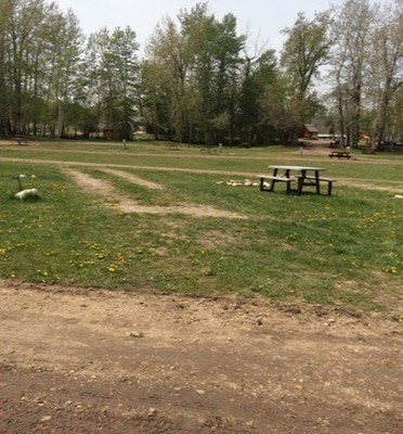 Red Lodge, Montana RV Camping Sites | Red Lodge KOA